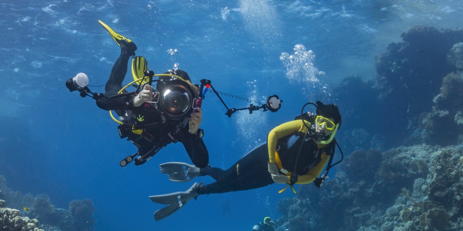 Dive Academy Piran – Piran Diving – Diving Courses